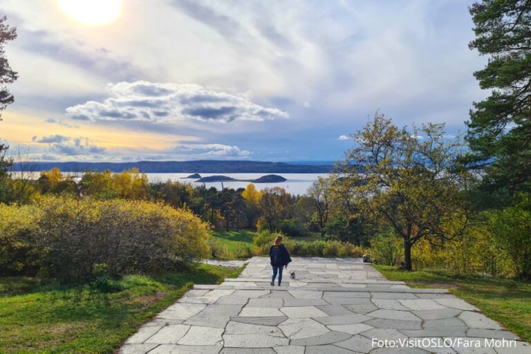 Vintage Oslo - Finn bruktbutikker og markeder i Oslo
